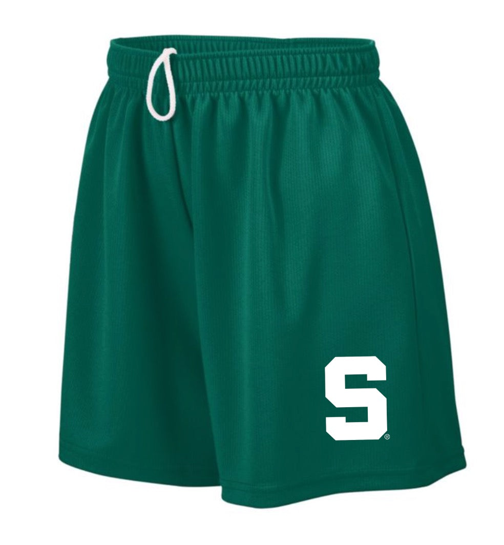 Michigan State Mesh Shorts – Recess Apparel